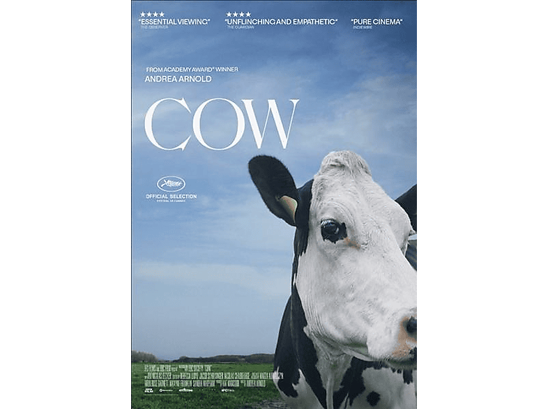 Cow DVD DVD Films