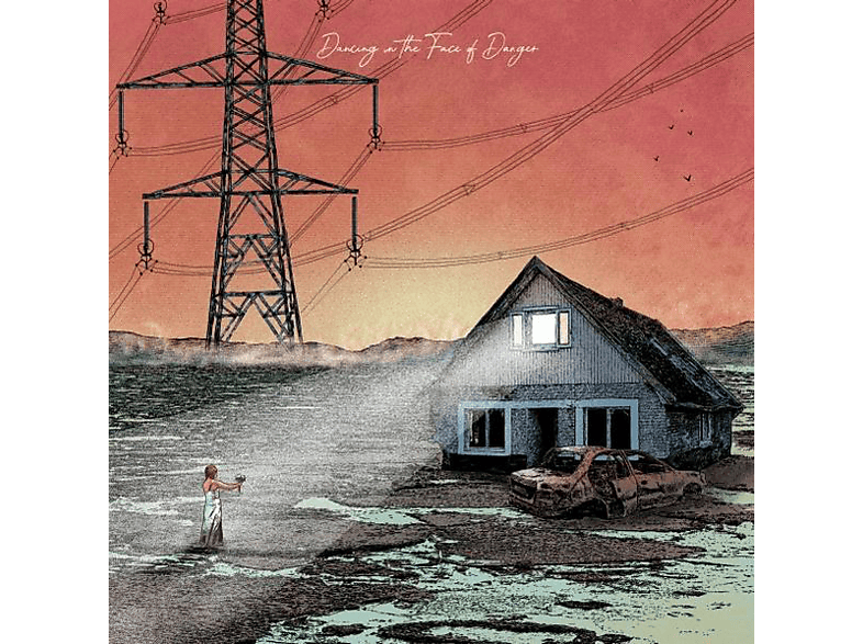 Exploring Birdsong | Dancing In The Face Of Danger - (CD-Mini-Album ...