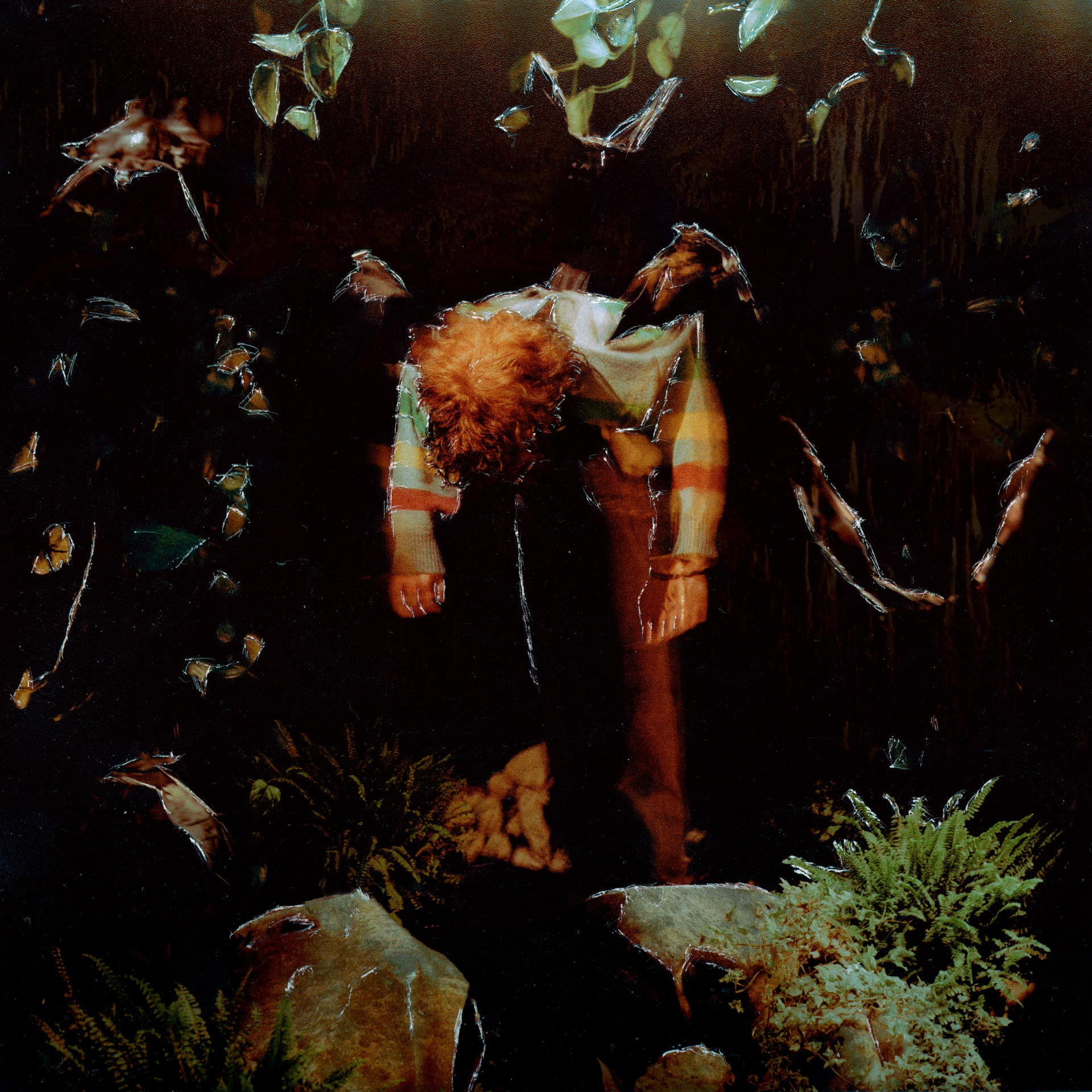 Cavetown | Worm Food [Vinyl] online kaufen | MediaMarkt