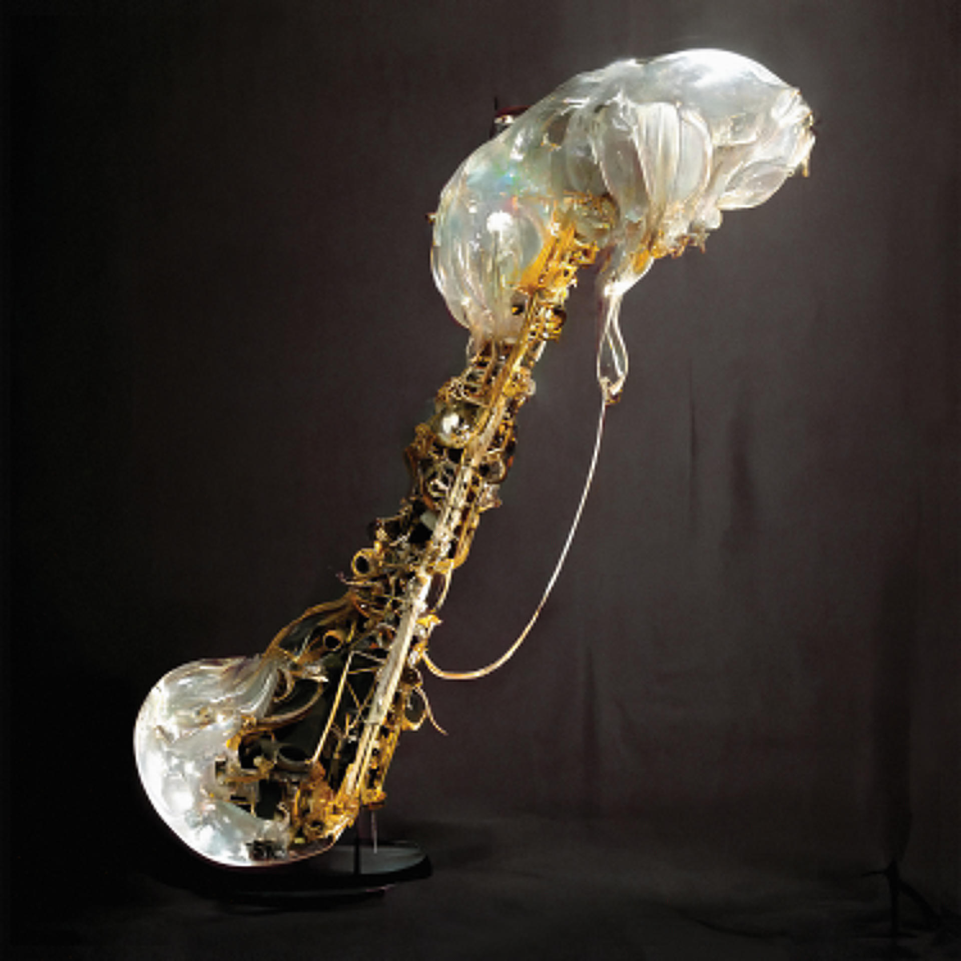 Sam Gendel | Sam Gendel - Cookup - (Vinyl) Jazz & Blues - MediaMarkt