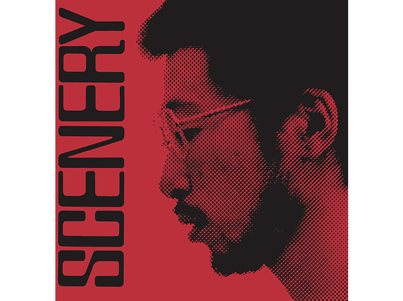Ryo Fukui | Scenery (Vinyl LP (nagylemez)) | MediaMarkt
