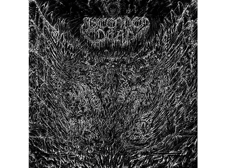 Ascended Dead | Evenfall of the Apocalypse (Black Vinyl) - (Vinyl ...