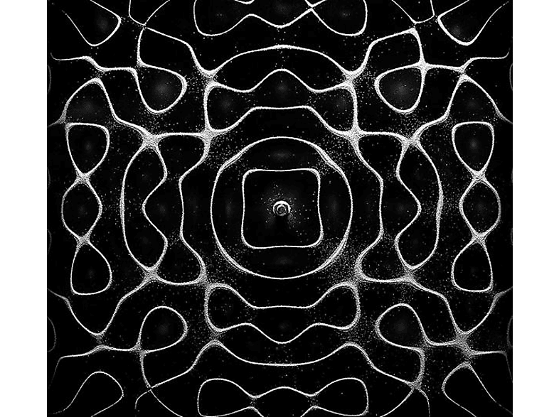 Node | Node - Singularity - (CD) Rock CDs - MediaMarkt