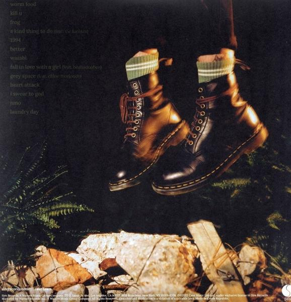 Cavetown | Cavetown - worm food (white/green Vinyl) - (Vinyl) Sonstige ...