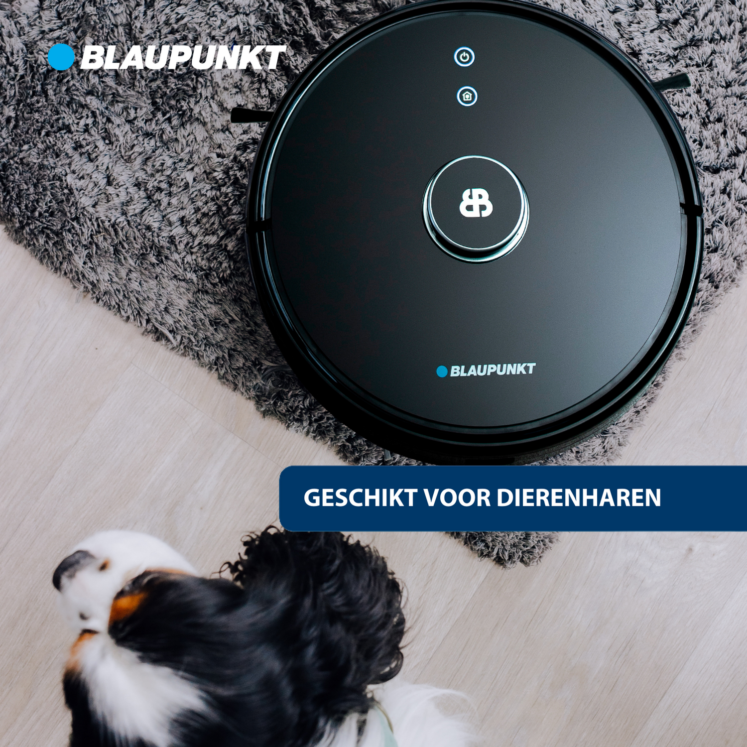 BLAUPUNKT Bluebot XTREME Plus Zwart kopen? | MediaMarkt