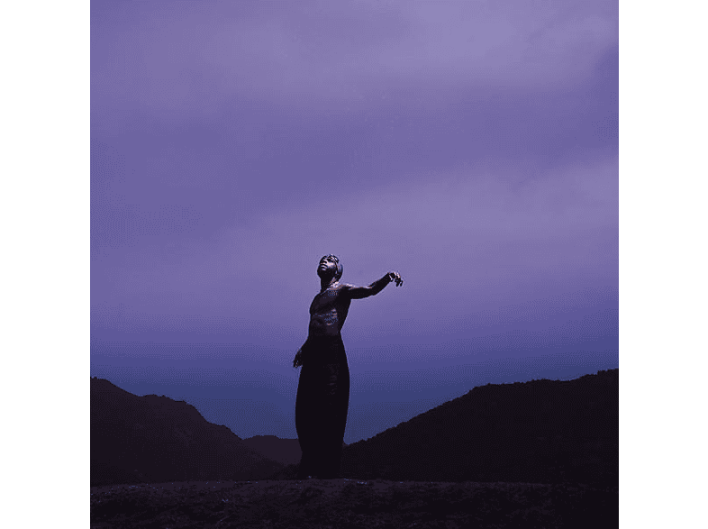 6lack | 6lack - Since I Have A Lover (Translucent Pink 2LP) - (Vinyl ...