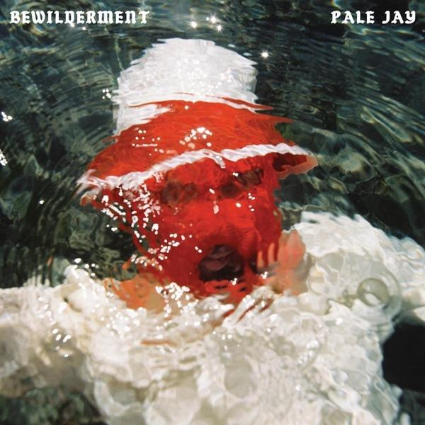Pale Jay | Pale Jay - Bewilderment - (CD) Rock & Pop CDs - MediaMarkt