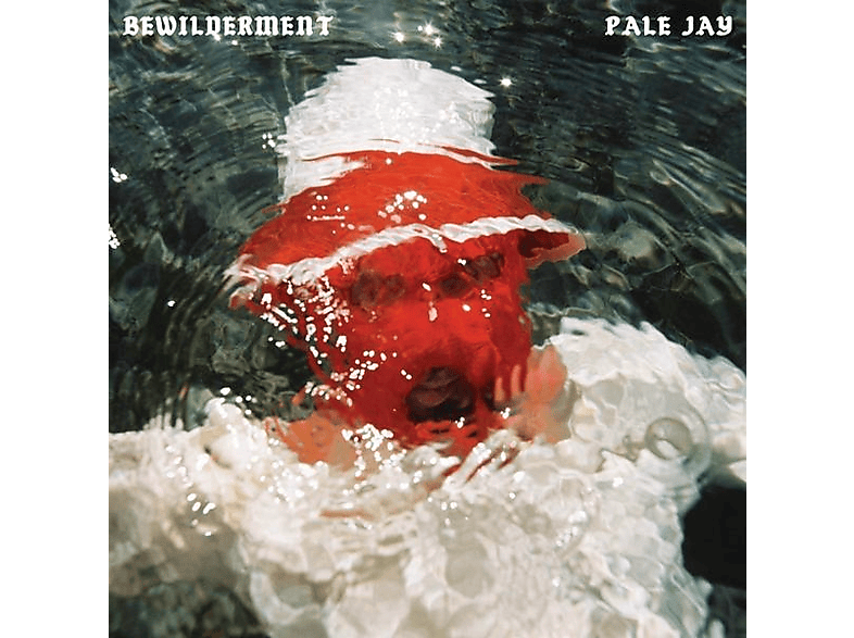 Pale Jay | Pale Jay - Bewilderment - (CD) Rock CDs - MediaMarkt