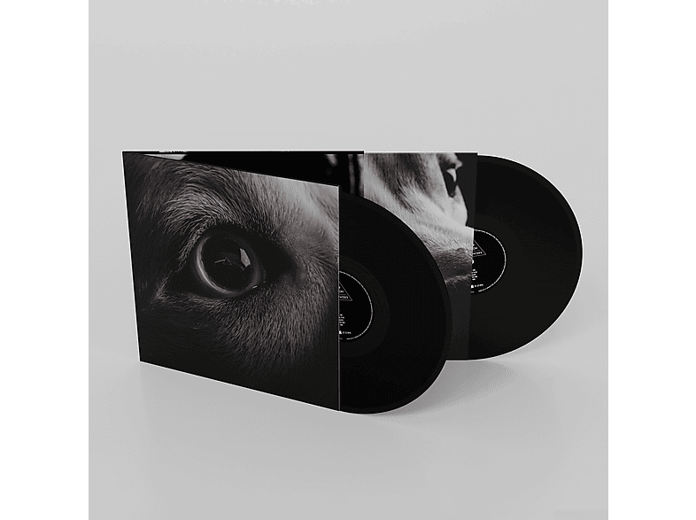 Roger Waters | THE DARK SIDE OF THE MOON REDUX - (Vinyl) | MediaMarkt