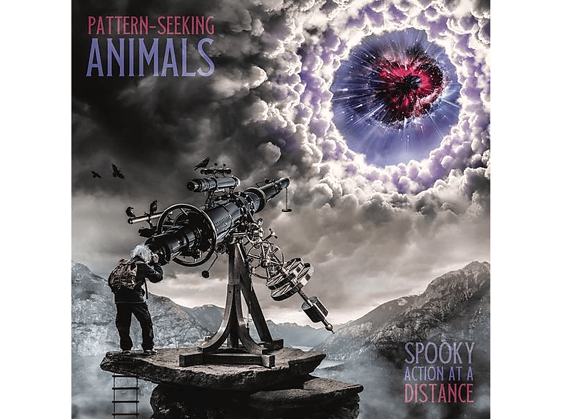 Pattern-seeking Animals | Spooky Action at a Distance [Vinyl] online ...