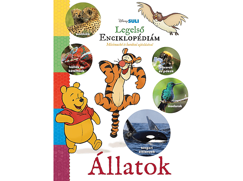 Manó Könyvek | Disney Suli - Legelső enciklopédiám - Állatok | MediaMarkt