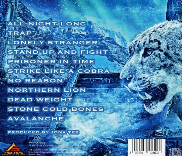 Temple Balls | Temple Balls - Avalanche - (CD) Rock & Pop CDs - MediaMarkt