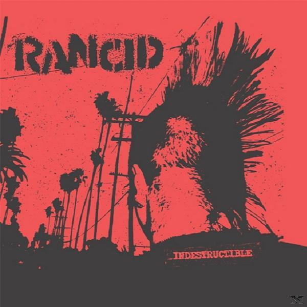 Rancid | Rancid - Indestructible (Ltd. 20th Anniversary Edit.) - (Vinyl ...