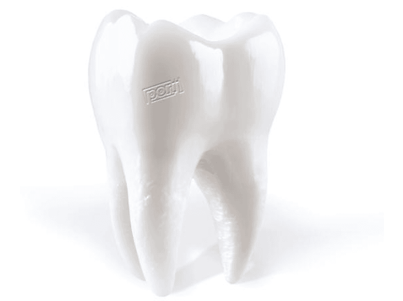 Porij | Teething - (CD) Porij auf CD online kaufen | SATURN