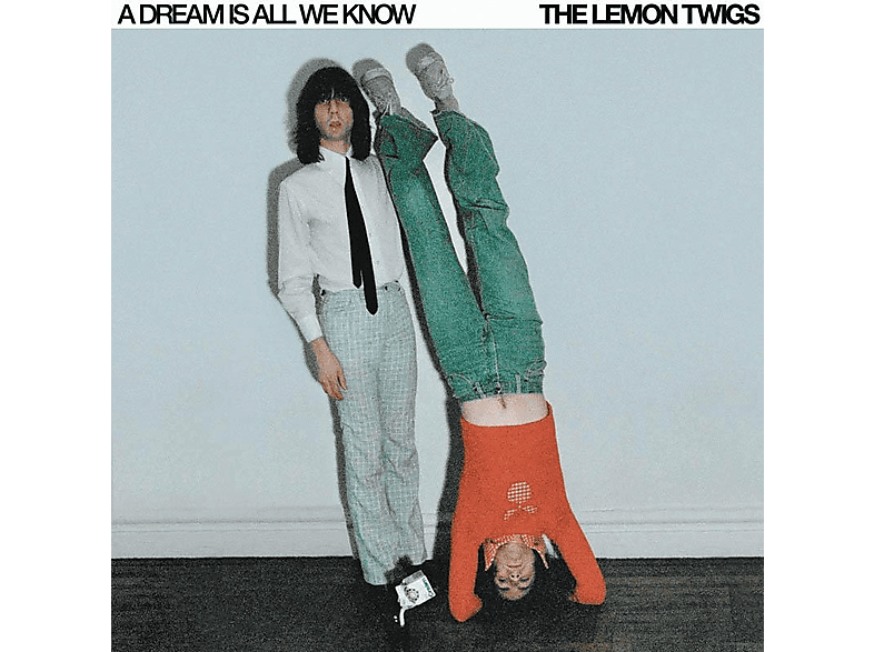 The Lemon Twigs | a dream is all we know - (CD) The Lemon Twigs auf CD ...