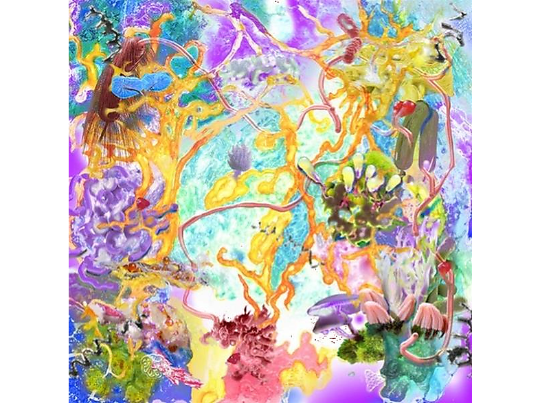 Amatorski | Curves and Bends, Things Veer - (CD) | MediaMarkt