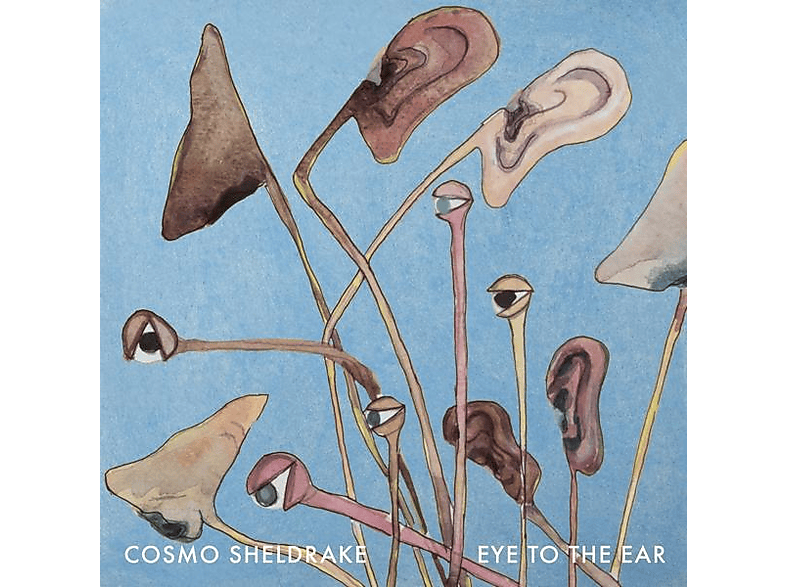 Cosmo Sheldrake | Eye to the Ear - (Vinyl) Cosmo Sheldrake auf Vinyl ...
