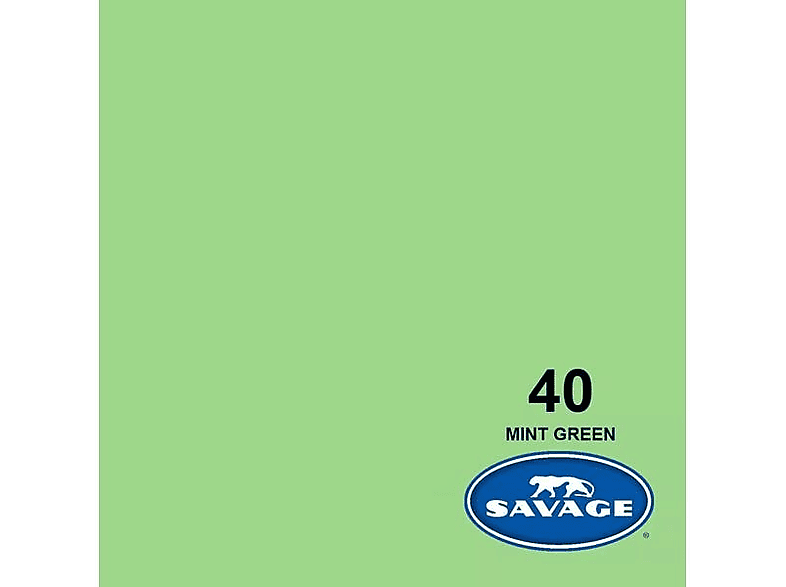 SAVAGE BACKGROUND PAPER 1.35X11M MINT GREEN - Fotohintergrund (Grün ...