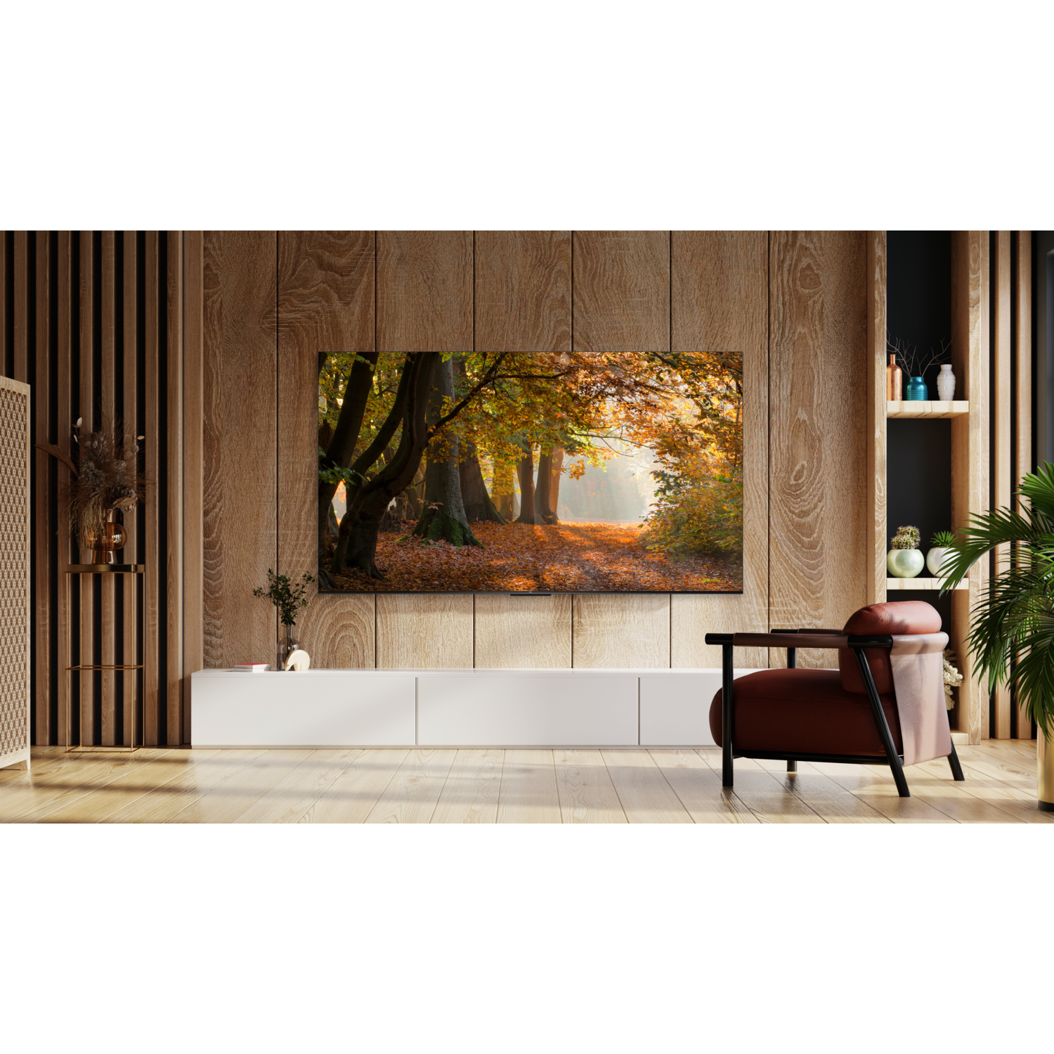 TCL 43P655 (2024) kopen? | MediaMarkt