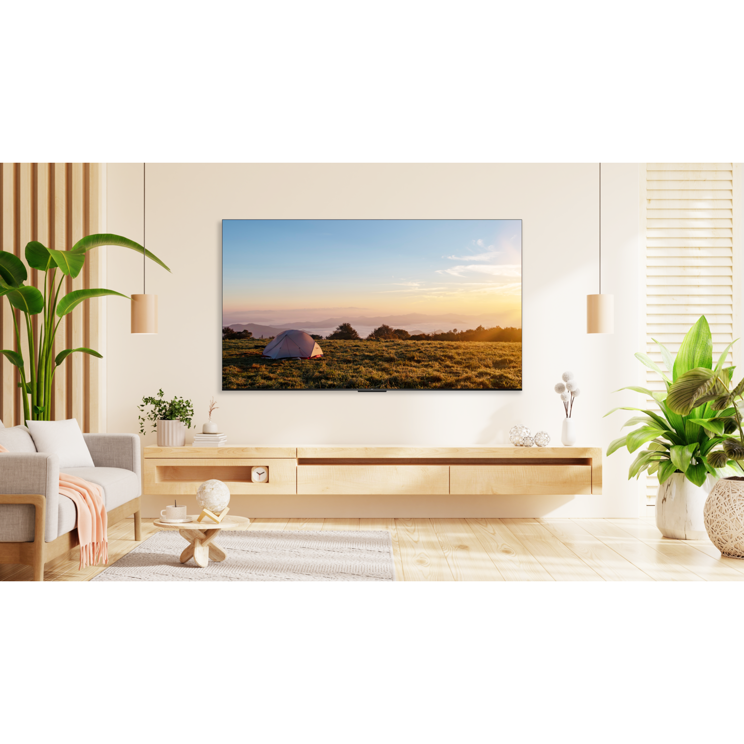 TCL 43P655 (2024) kopen? | MediaMarkt