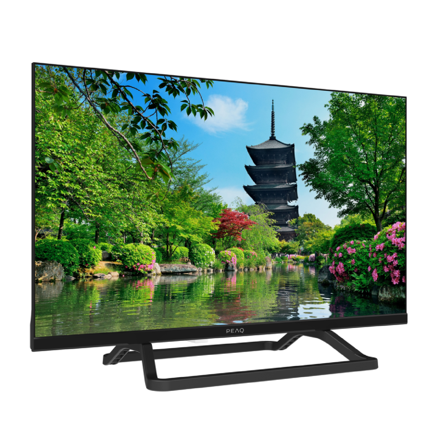 PEAQ PTV 24H-5024E 12V (2024) kopen? | MediaMarkt