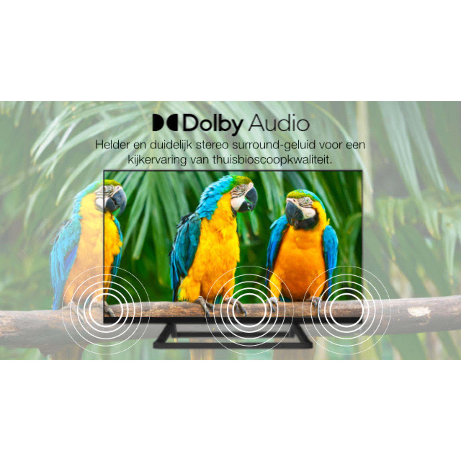 PEAQ PTV 24H-5024E 12V (2024) kopen? | MediaMarkt