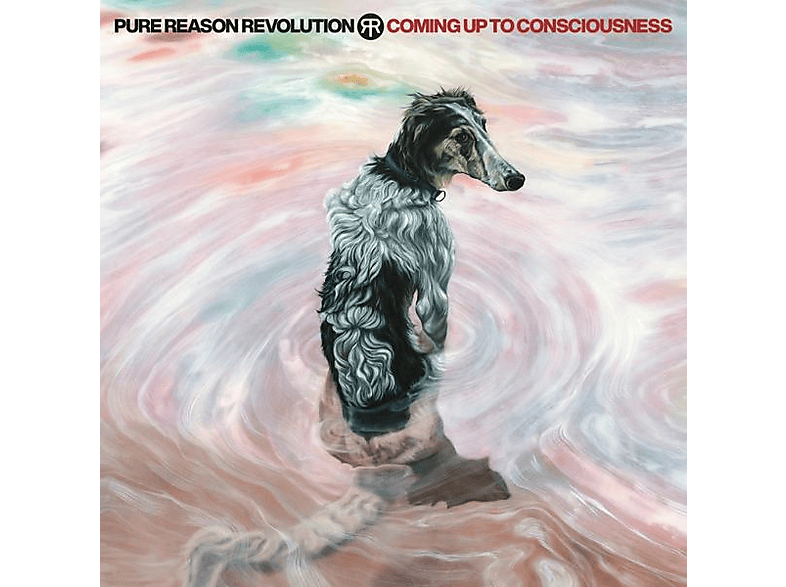 Pure Reason Revolution | Coming Up To Consciousness [CD] online kaufen ...
