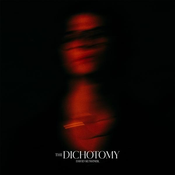 David Kushner | The Dichotomy (2LP) - (Vinyl) | MediaMarkt