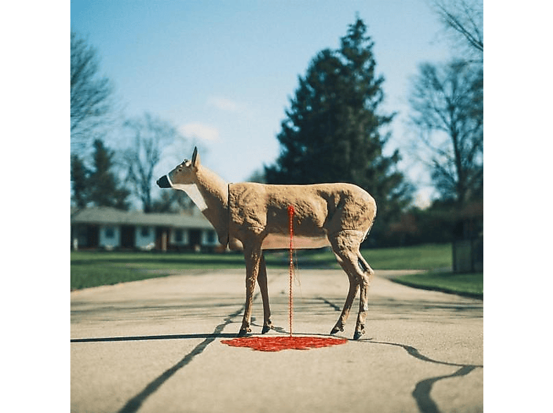 Wayne Graham | Wayne Graham - Bastion - (Vinyl) Sonstige Schallplatten ...