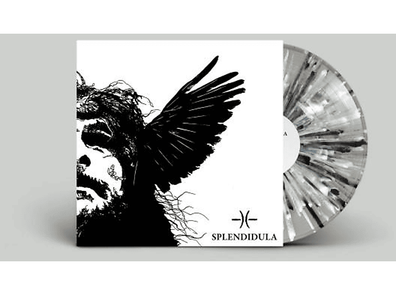Splendidula | Somnus - (Vinyl) Splendidula auf Vinyl online kaufen | SATURN
