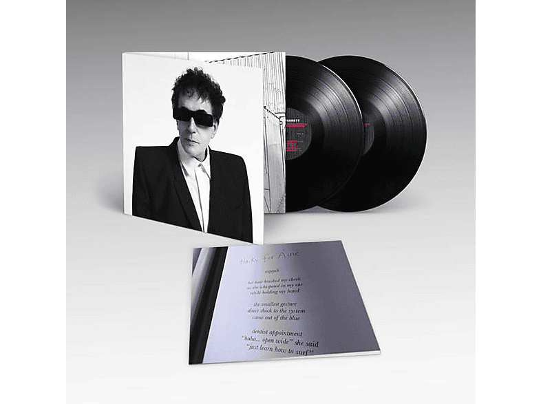 Peter Perrett | Peter Perrett - The Cleansing (2LP Gatefold) - (Vinyl ...