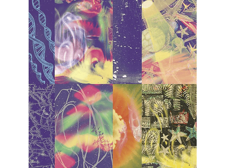 Nap Eyes | Nap Eyes - The Neon Gate - (CD) Rock CDs - MediaMarkt