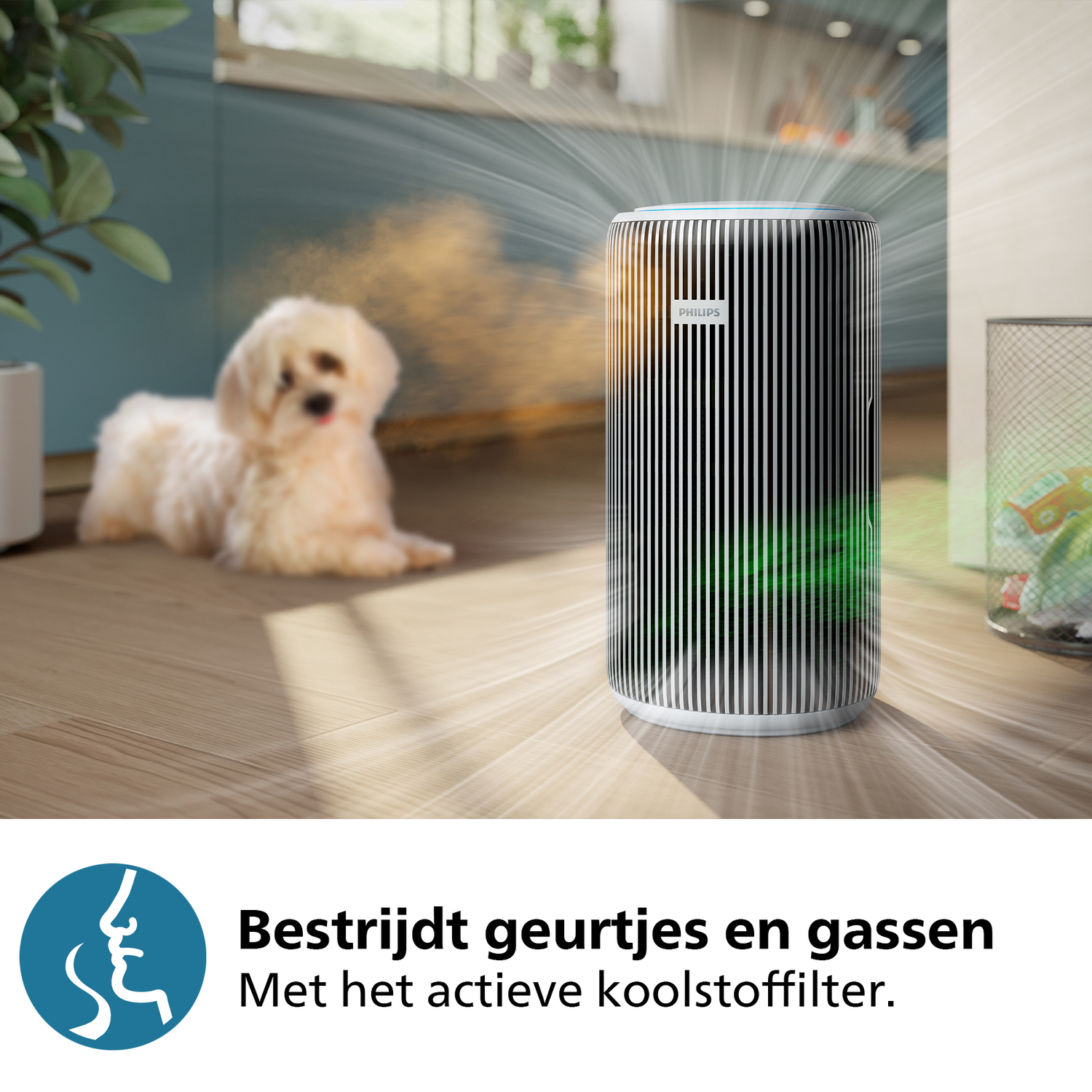 PHILIPS PureProtect 3200-serie AC3220/10 Luchtreiniger Zilver kopen ...