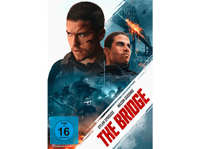 The Bridge DVD | MediaMarkt
