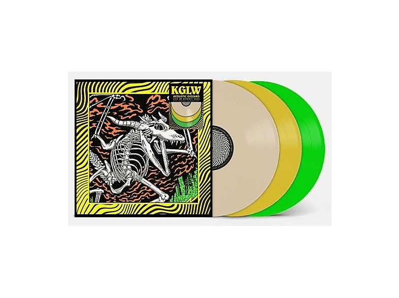 King Gizzard & The Lizard Wizard | Acoustic Gizzard - Live in Detroit ...