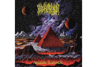 Blood Incantation - Absolute Elsewhere (High Quality) (Vinyl LP ...