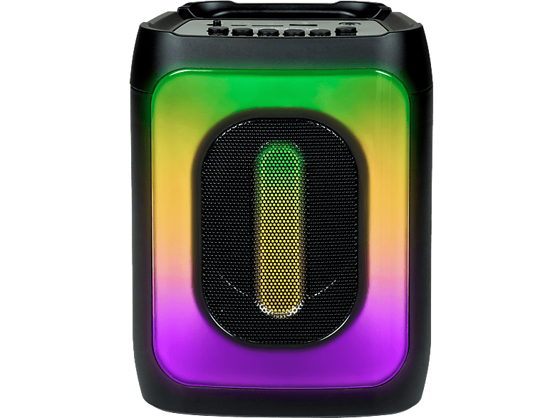 BIG BEN PARTY HPS2 BT bluetooth hangszóró, fekete | MediaMarkt