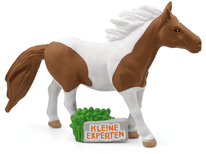 TONIES Tonies Figur Kle!ne Experten galoppieren mit Pferden Hörfigur Tonie Figuren | MediaMarkt