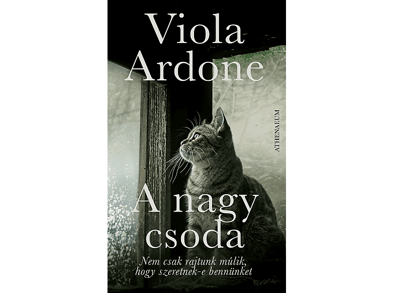 Viola Ardone | A nagy csoda | MediaMarkt