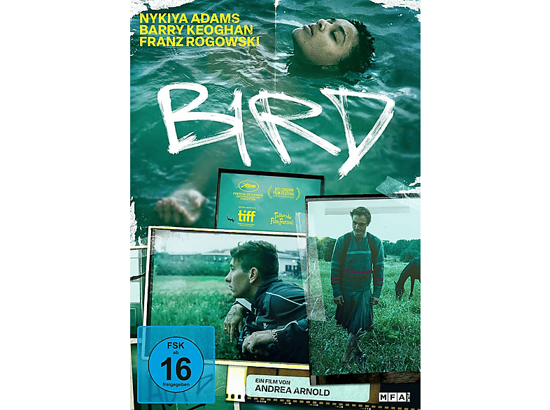 Bird DVD | MediaMarkt