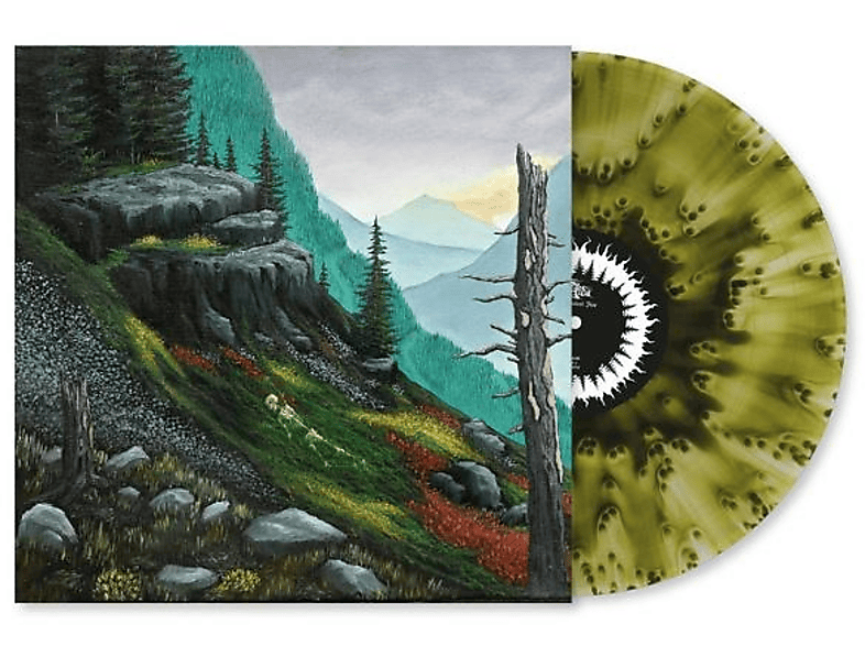 Alda | A Distant Fire (Moss & Rain Coloured LP) - (LP (analog ...