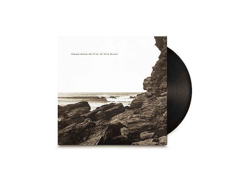Polygon Window | Surfing On Sine Waves - (Vinyl) | MediaMarkt