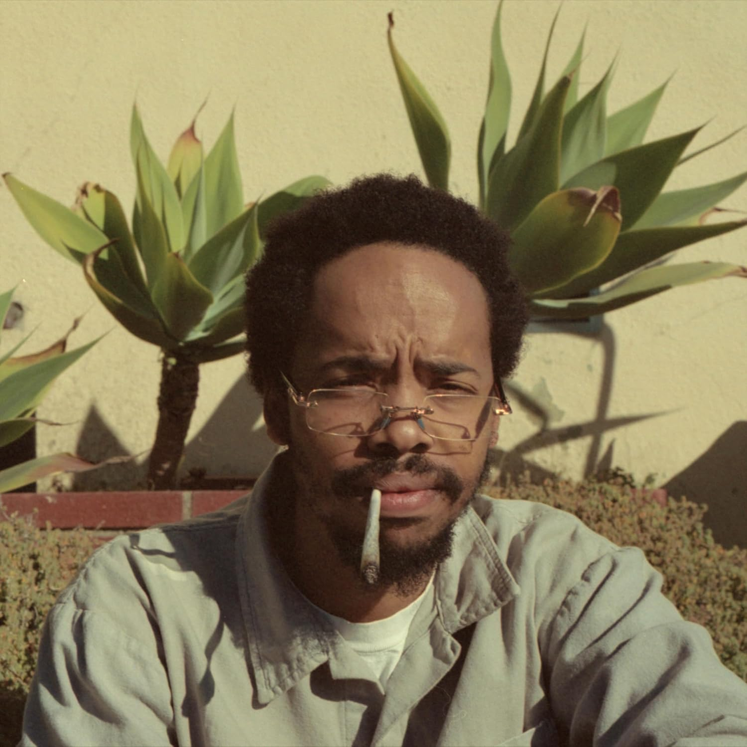 Earl Sweatshirt | Live Laugh Love (Vinyl LP (nagylemez)) | MediaMarkt