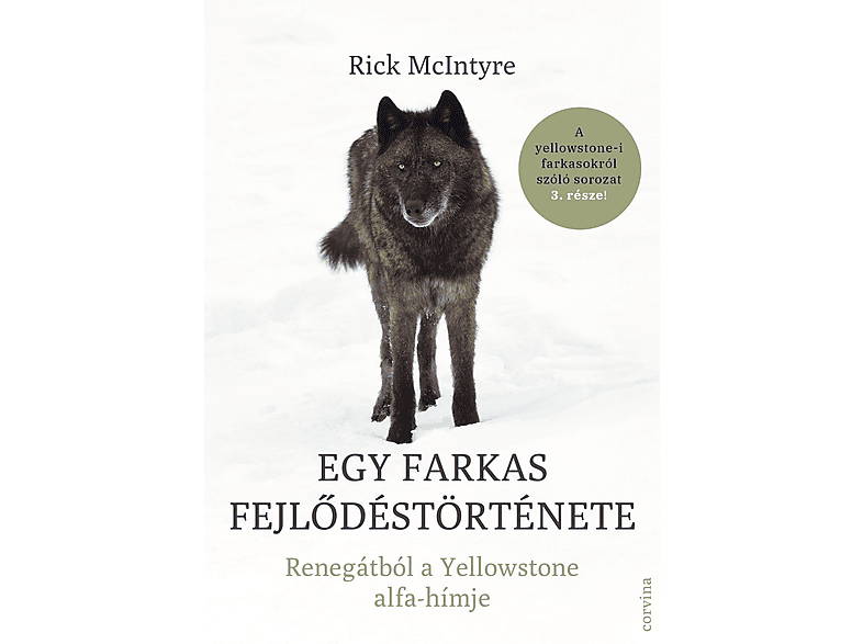 Rick McIntyre | Egy farkas fejlődéstörténete - Renegátból a Yellowstone ...
