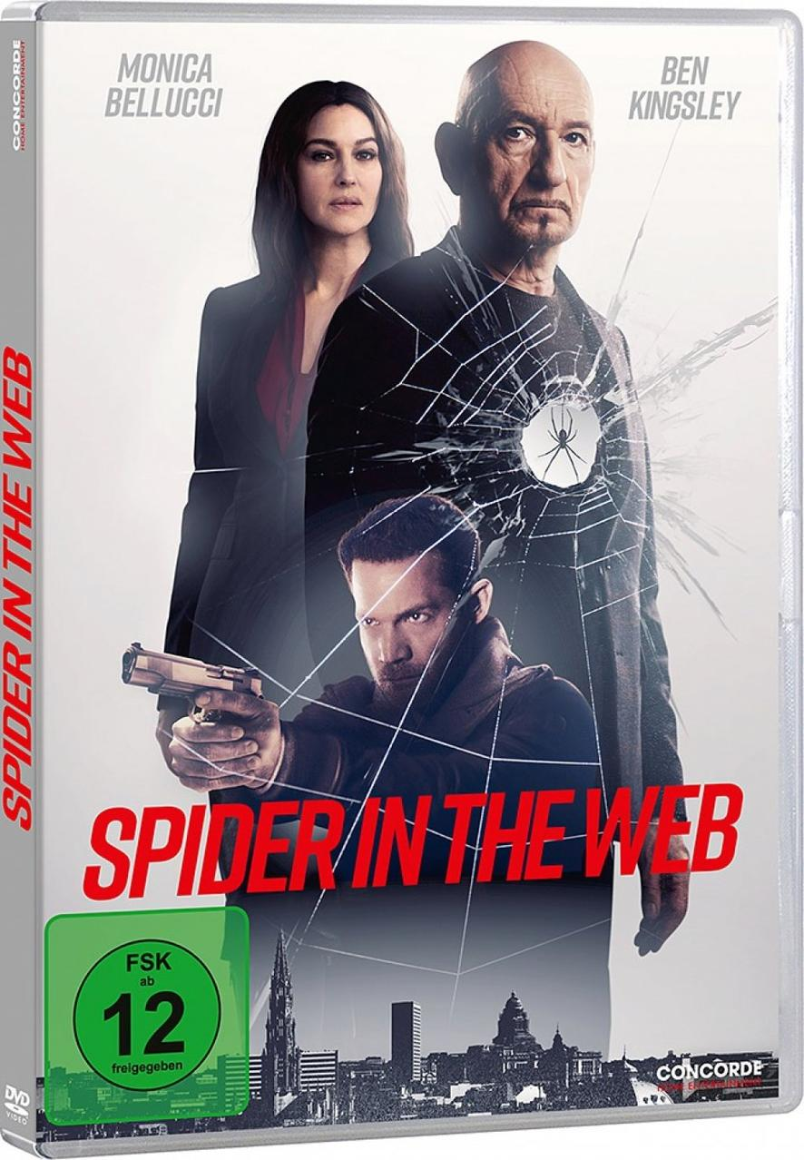 Spider in the Web DVD auf DVD online kaufen | SATURN