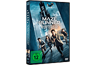 Maze Runner: Die Auserwählten in der Todeszone [DVD] - DVD Science ...