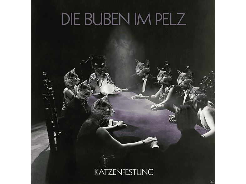 Die Buben Im Pelz | Katzenfestung [CD] online kaufen | MediaMarkt