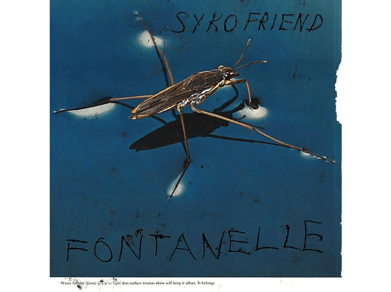 Syko Friend | Fontanelle - (Vinyl) Syko Friend auf Vinyl online kaufen ...