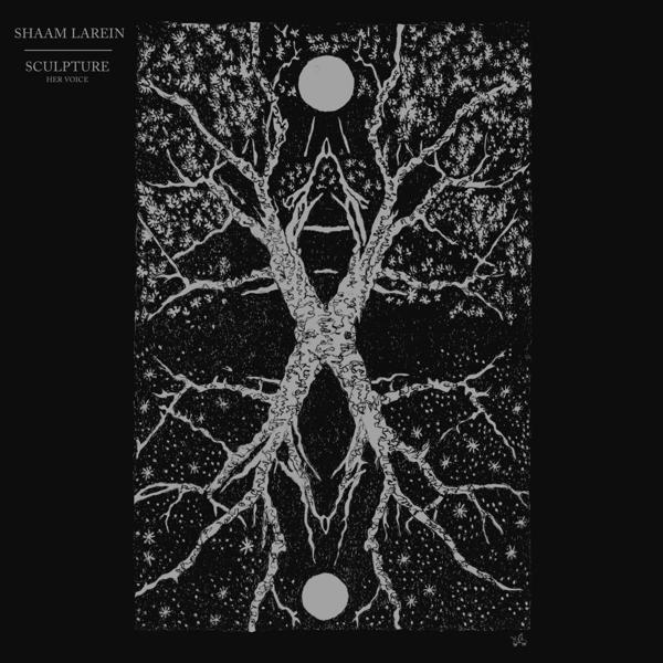 Shaam Larein | sculpture - (CD) Shaam Larein auf CD online kaufen | SATURN