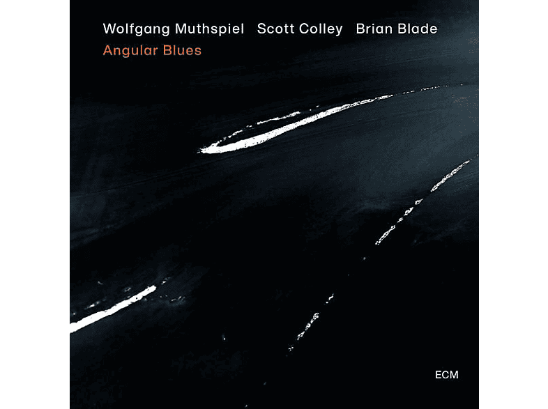 Scott Colley, Brian Blade | Angular Blues - (CD) | SATURN